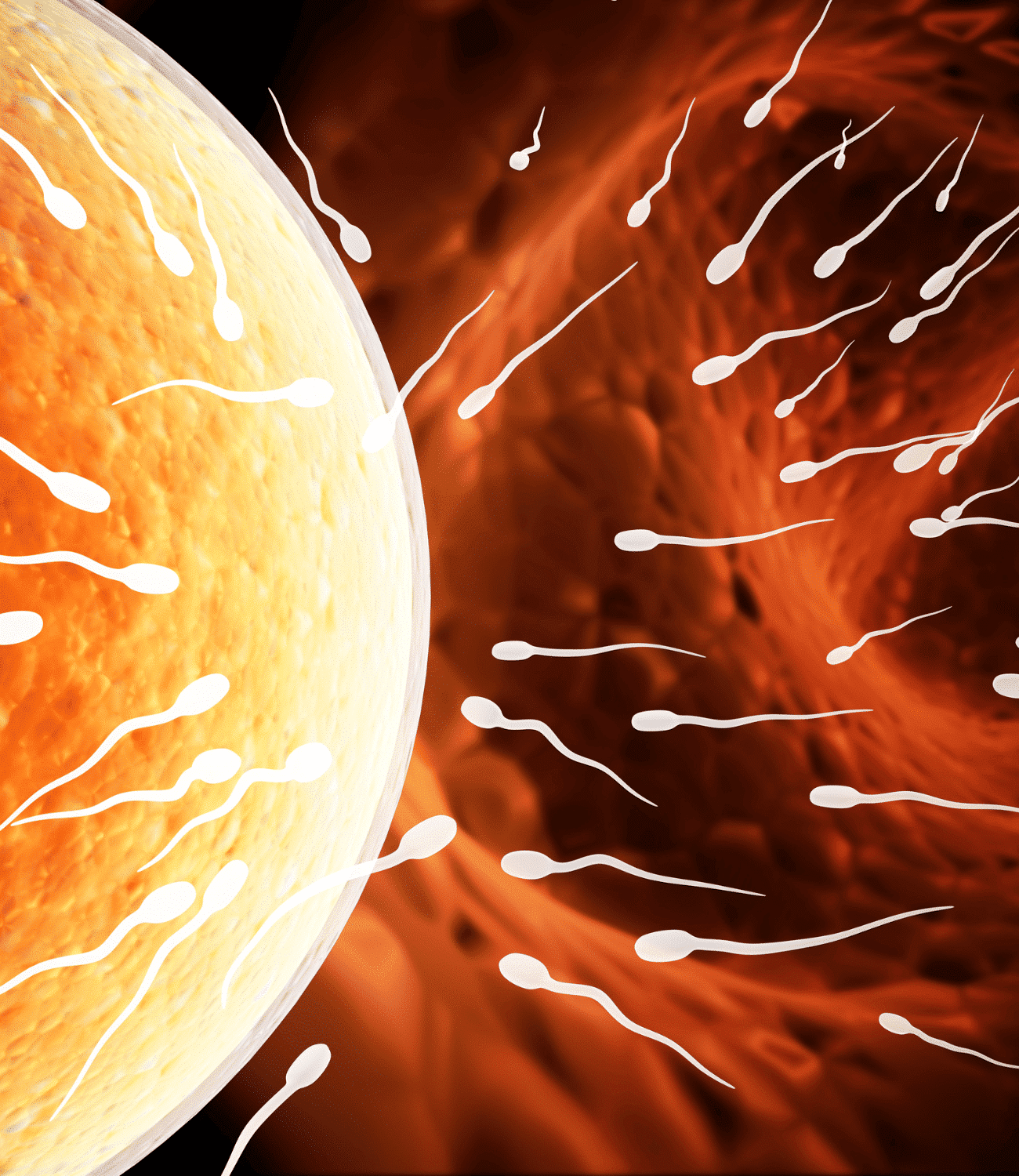 7 DPO Pregnancy Symptoms - MyBump2Baby
