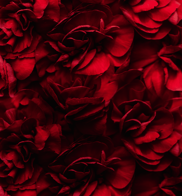 252 Best Blazing Baby Names That Mean Red - Baby Names - MyBump2Baby