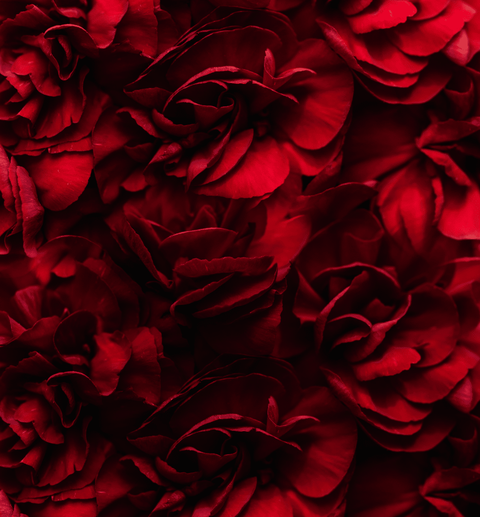 252 Best Blazing Baby Names That Mean Red - Baby Names - MyBump2Baby