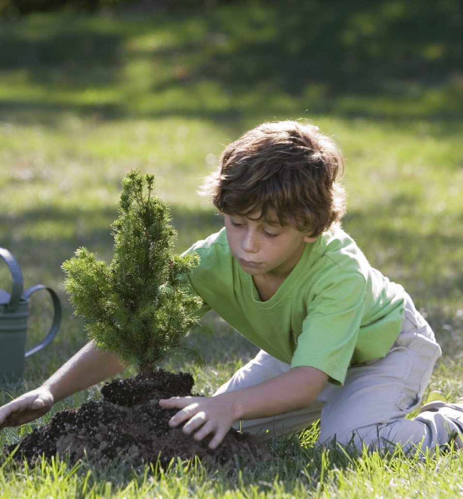 300 BEST Tree Baby Names - Baby Names - MyBump2Baby