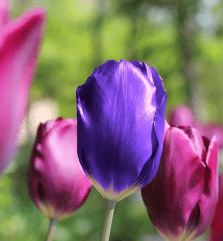 450 BEST Cuban baby Names - Baby Names - MyBump2Baby