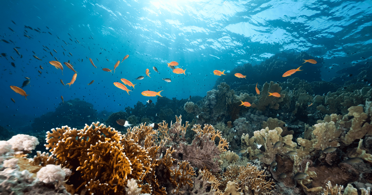 220 BEST Ocean Names for Babies - Baby Names - MyBump2Baby