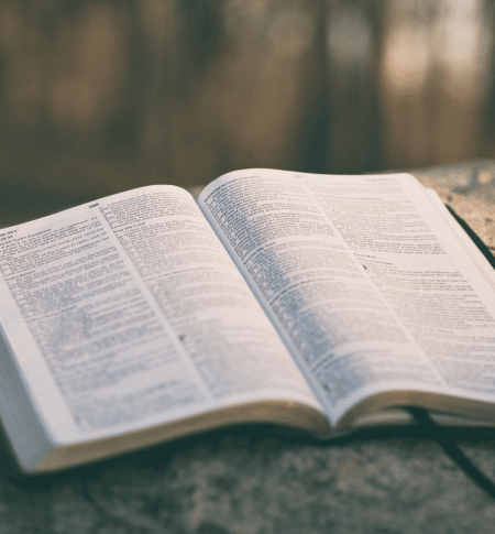 195 Beautiful Baby Names Meaning Pure - Baby Names - MyBump2Baby