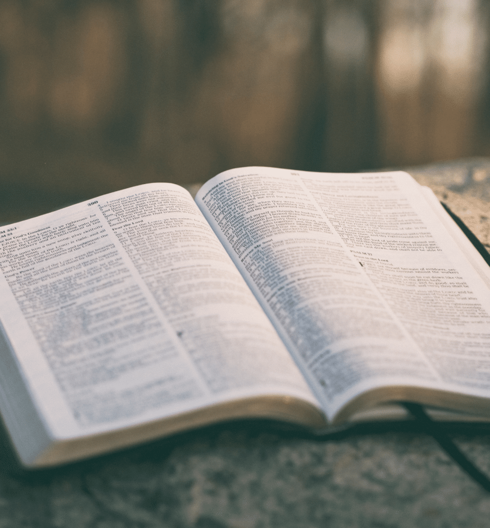 195 Beautiful Baby Names Meaning Pure - Baby Names - MyBump2Baby