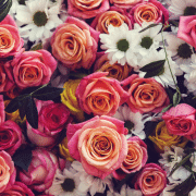 400 RARE Last Names for Your Baby - Baby Names - MyBump2Baby