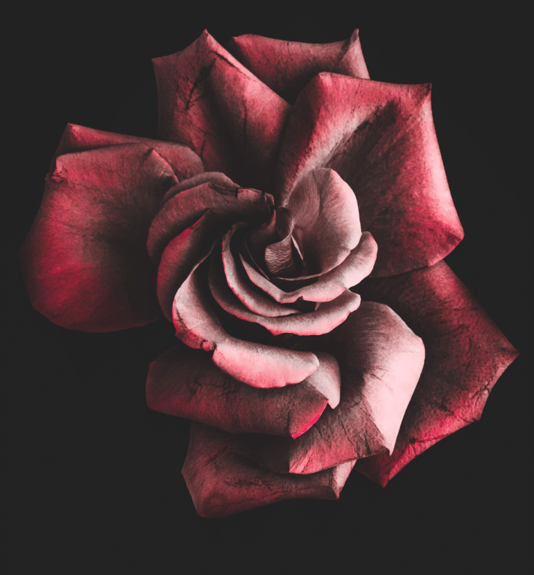 190+ Goth Girl Names for Your Little Dark Princess - Baby Names ...