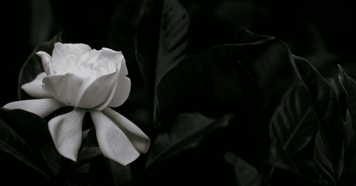 205 Gothic Boy Names for Your Little Dark Prince - Baby Names - MyBump2Baby