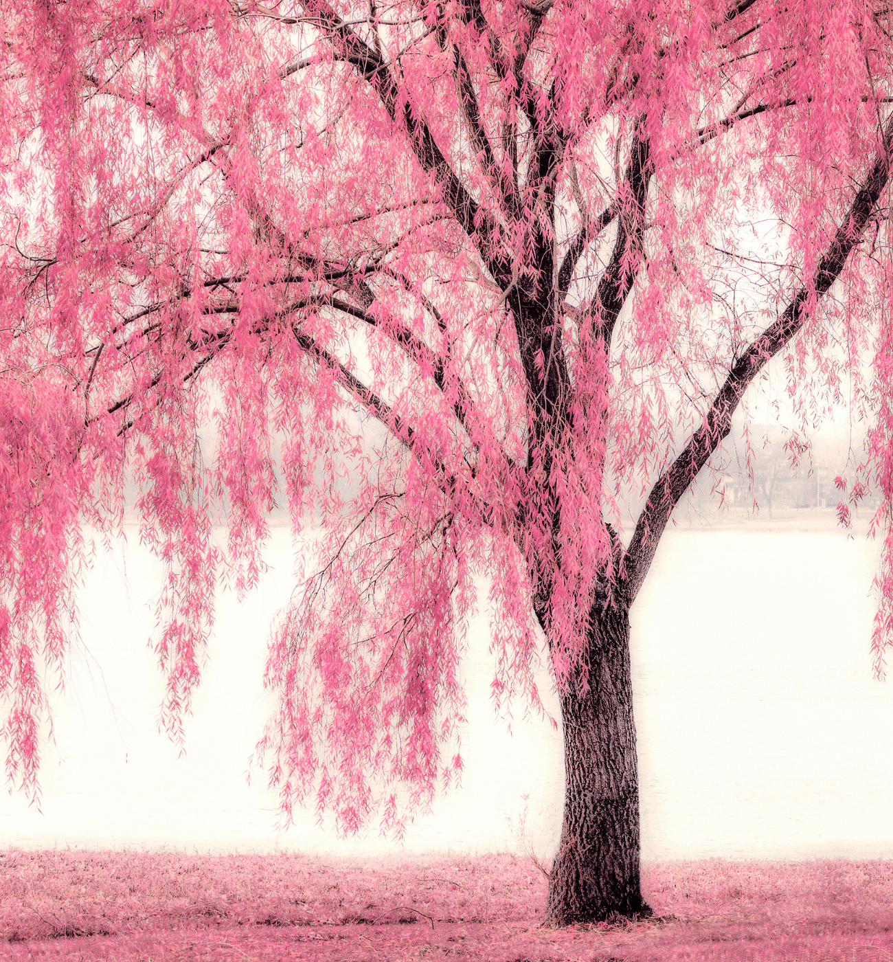 130+ BEST Swahili Girl Names - Baby Names - MyBump2Baby